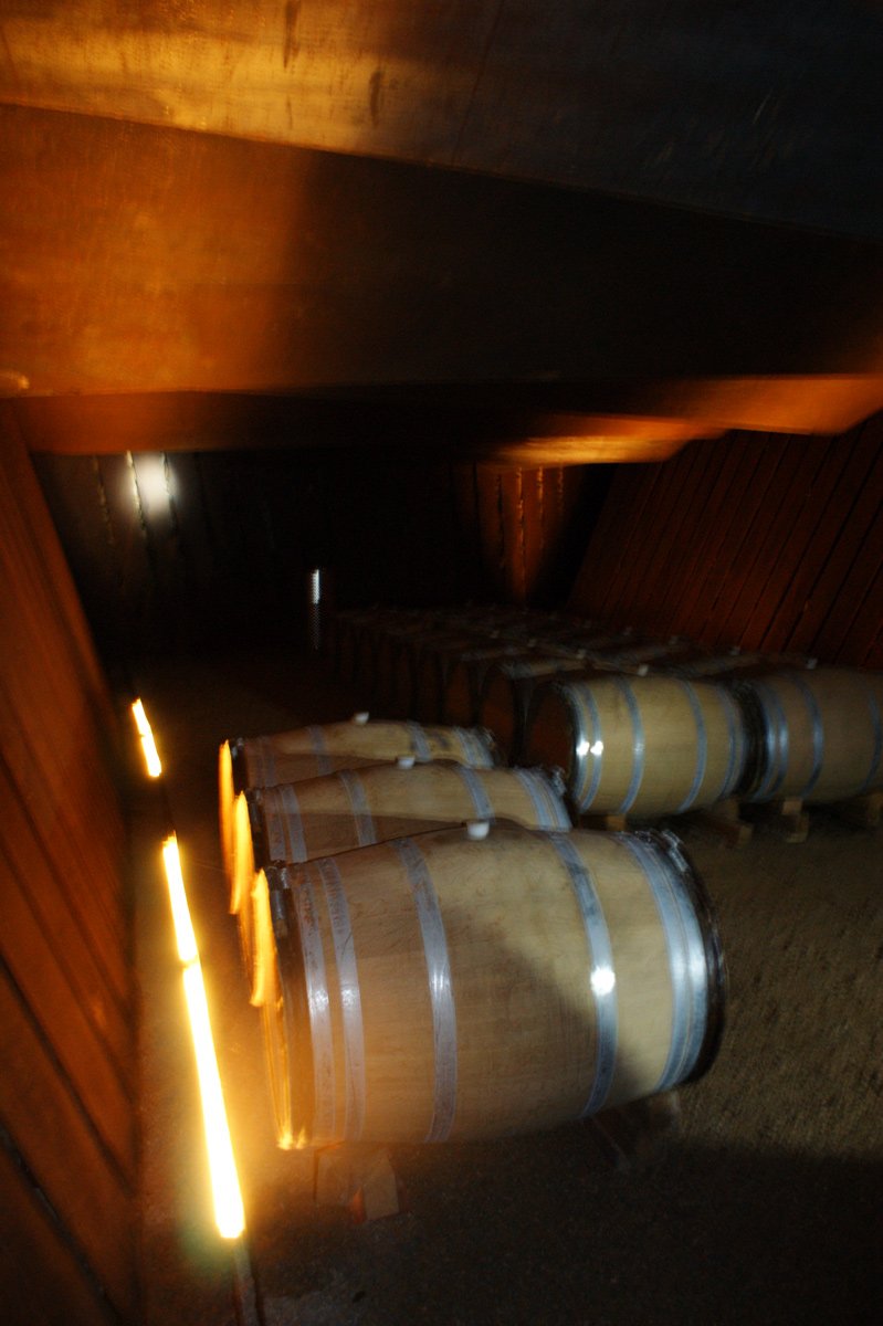 archiweb.cz - Bell-Lloc Winery