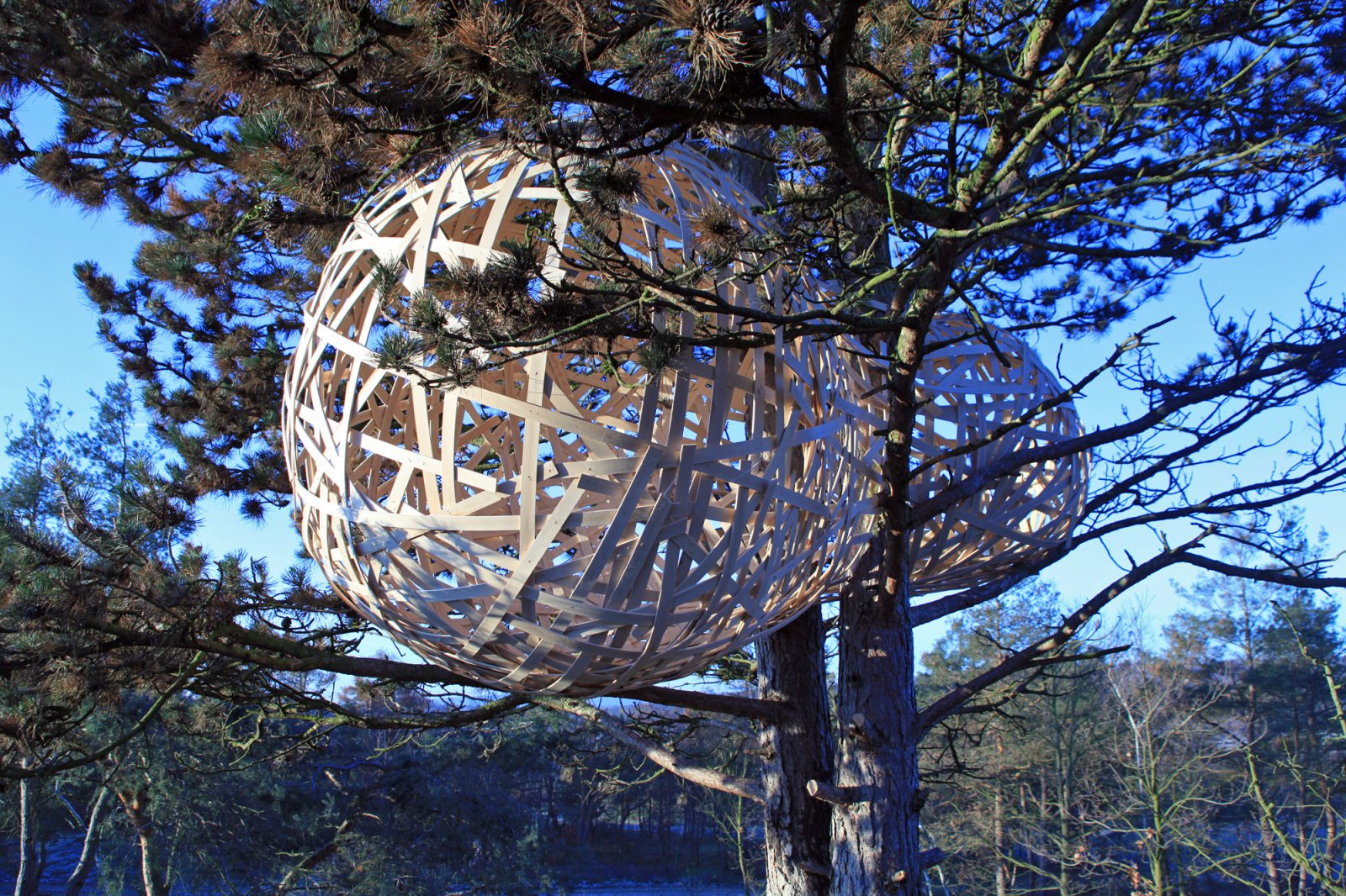 archiweb.cz - Monocoque