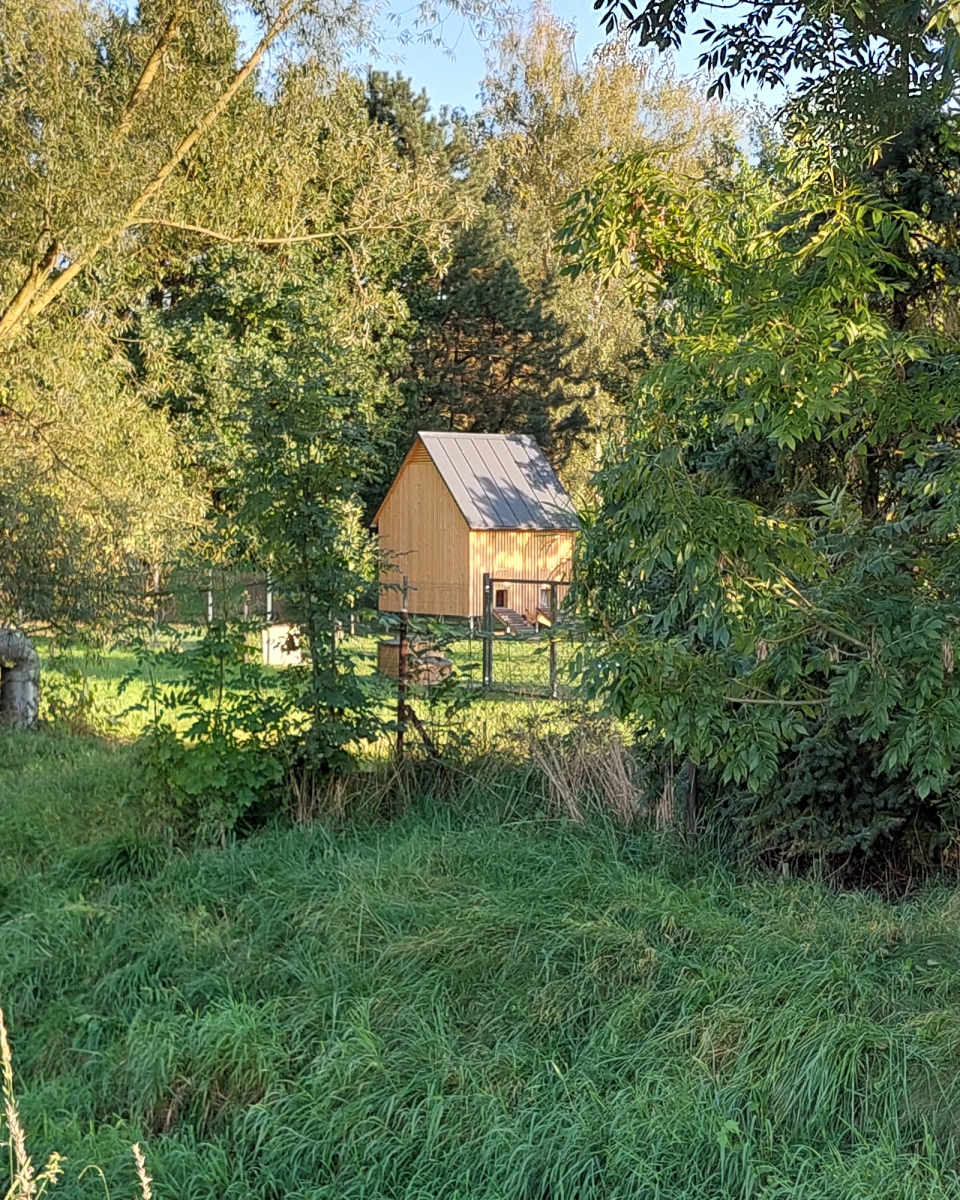 archiweb.cz - Kurník a husník