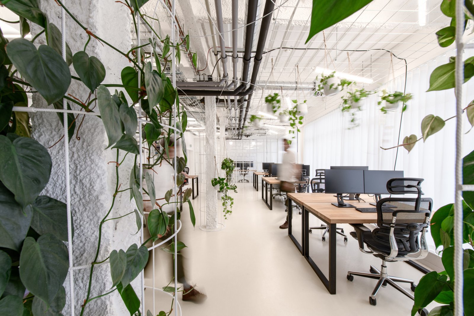 archiweb.cz - Kanceláře Czech Promotion Vol. 2