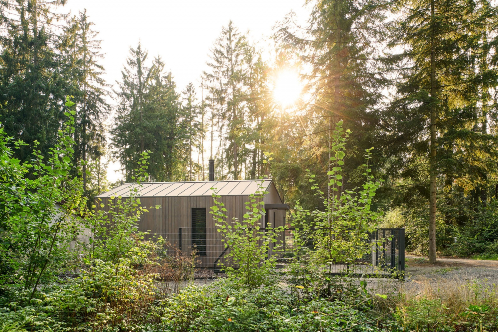 archiweb.cz - Chata v lese