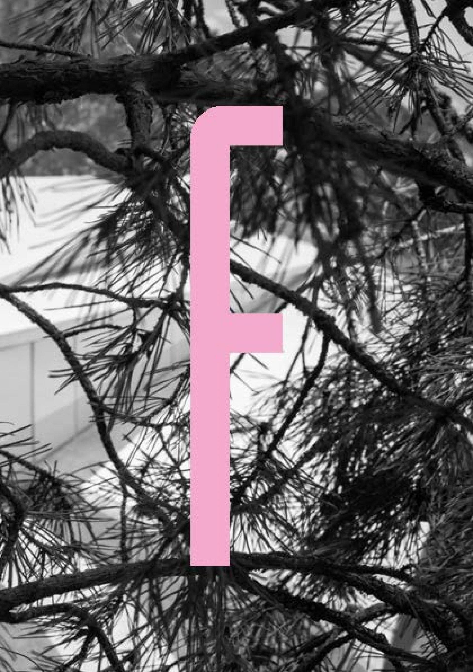 archiweb.cz - Zdeněk Fránek: Figures